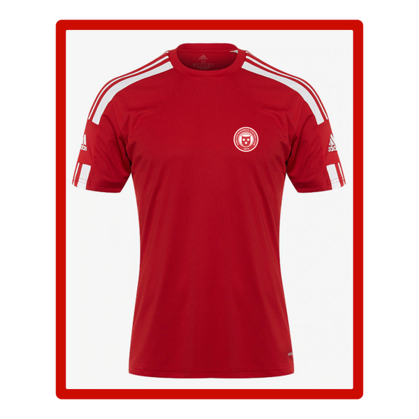 Hamilton WFC Training T-shirt – Football1st